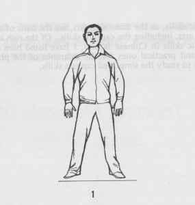 Hunyuanzhuang – 內功 Neigong.net